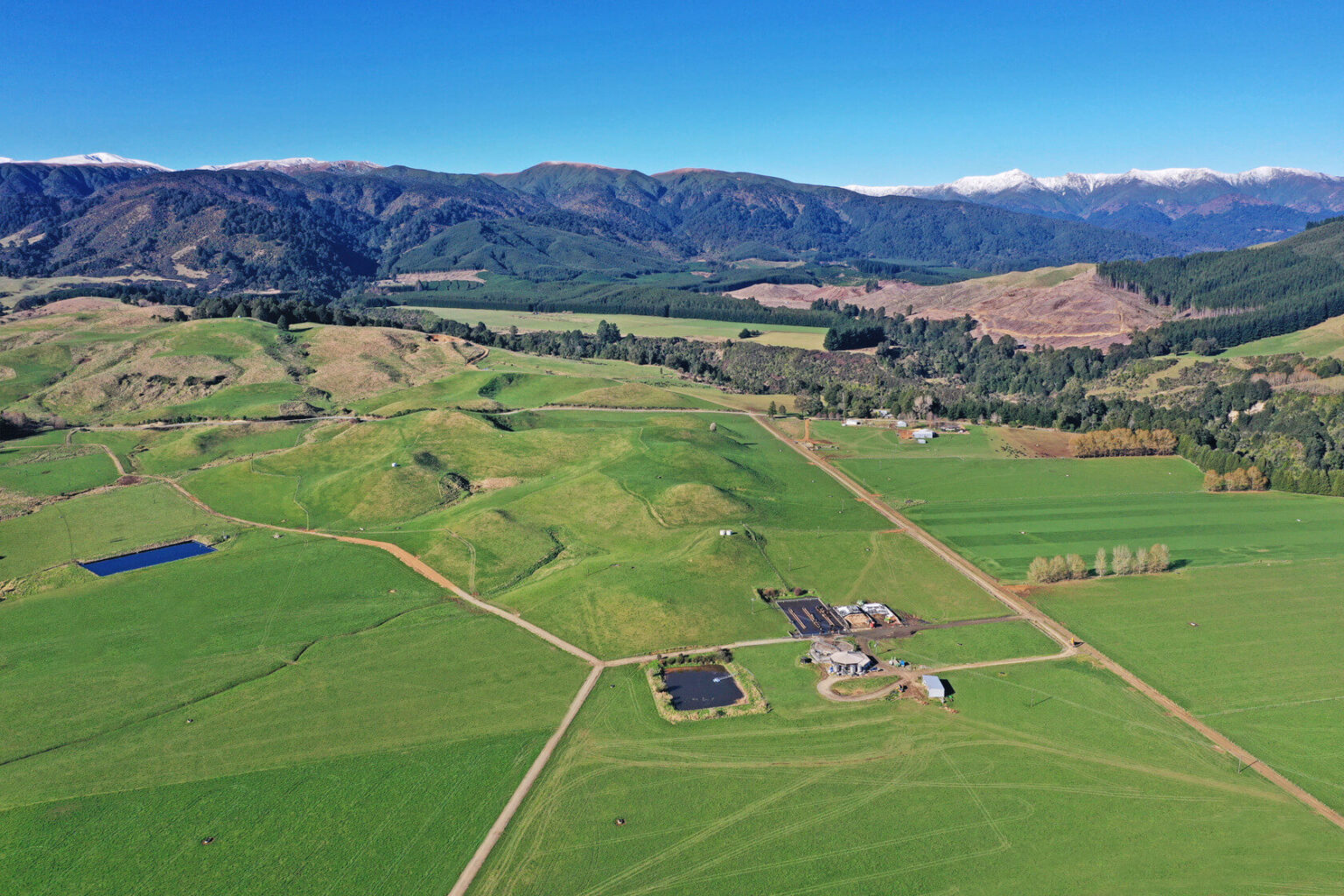Farms - Hopkins Farming Group